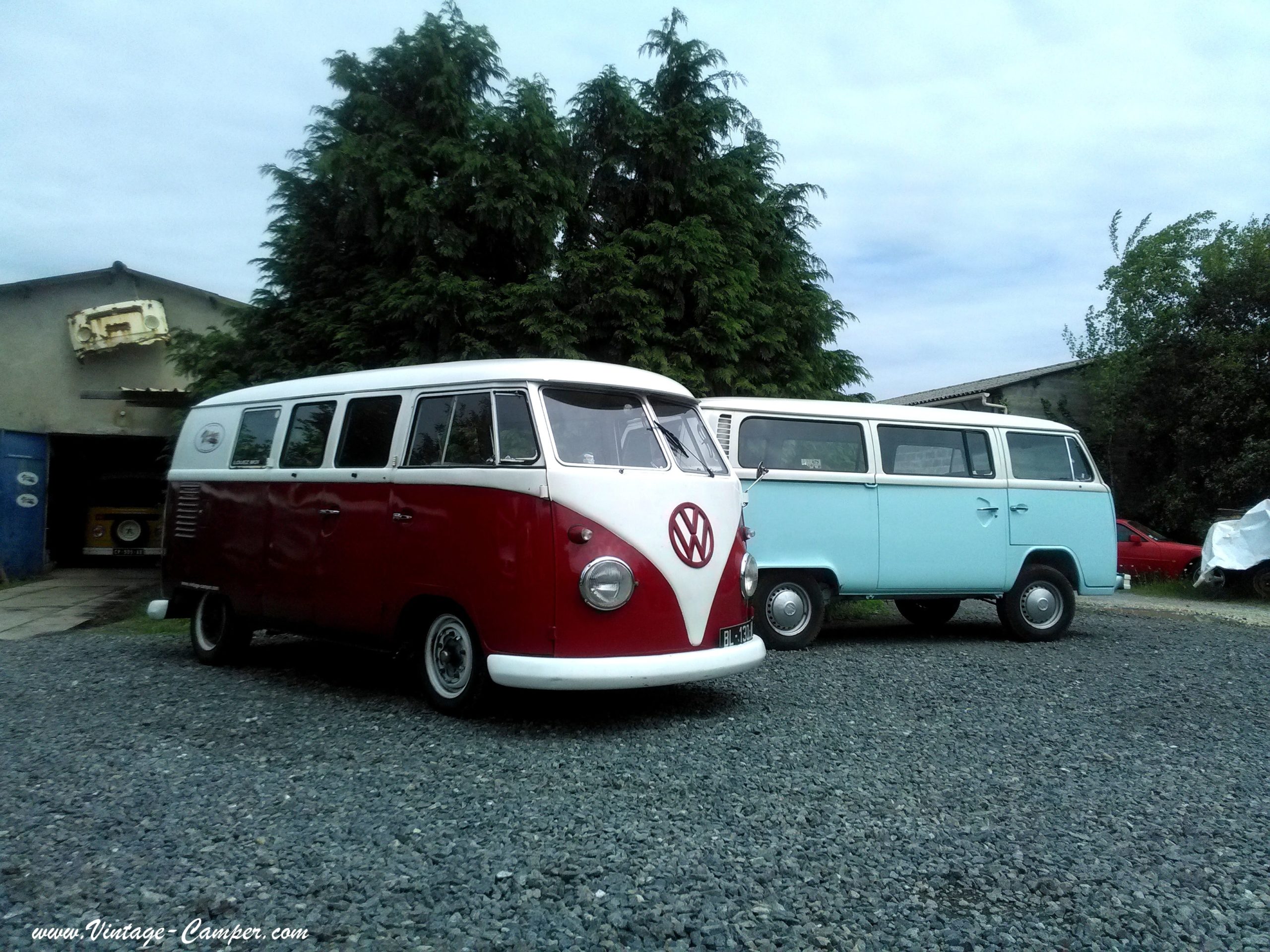 combi baywindow versus combi split - Vintage Camper