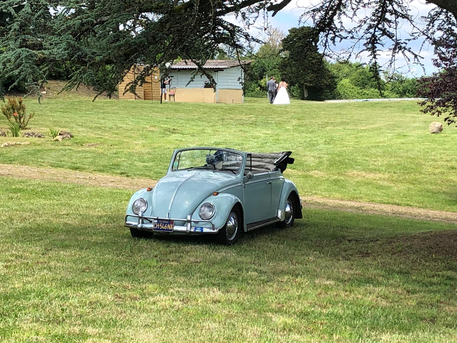 Location combi VW et van aménagé - Vintage Camper
